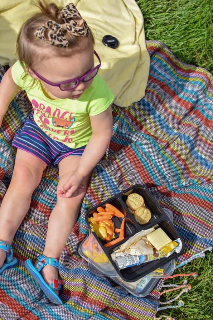 Toddler Friendly DIY Homemade Lunchables - The Beard And The Baker