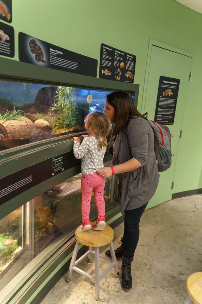 Explore Cosi Center Of Science Center In Columbus, Oh