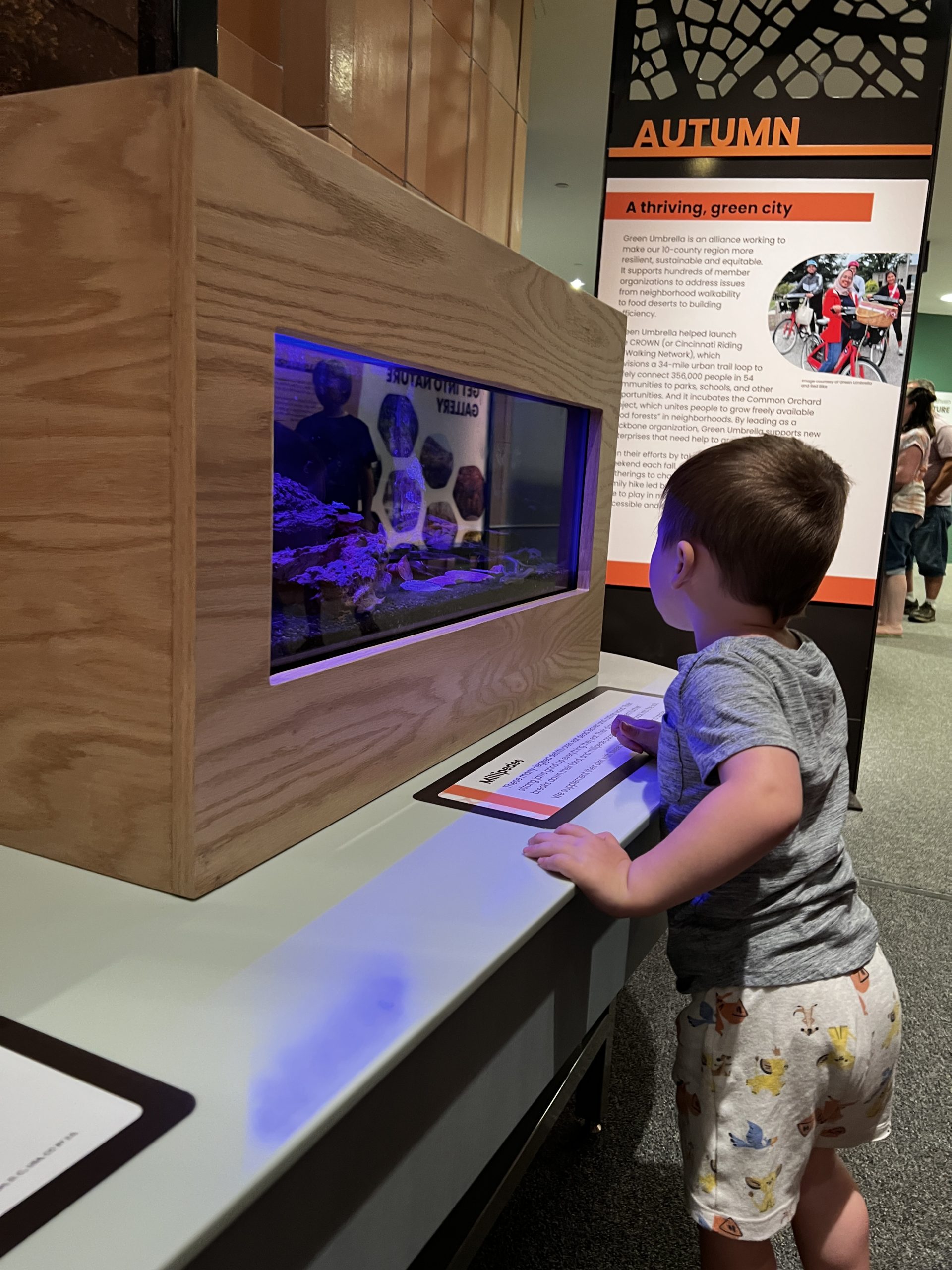 Family Fun at the Cincinnati Museum: Everything You Need to Know - The ...